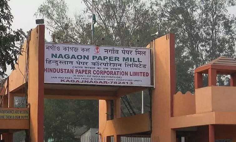 Nagaon Paper Mill Logo Site Title