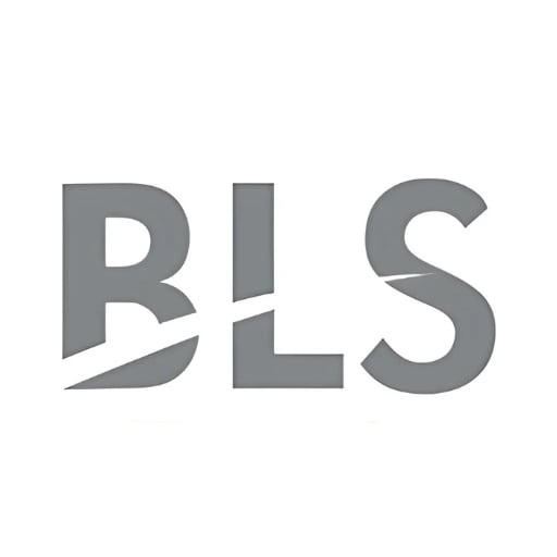 BLS International Services Ltd - Fortune India
