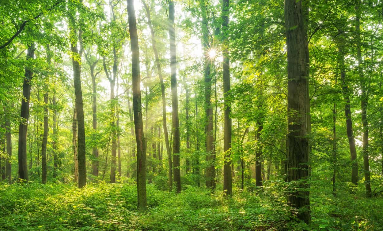 Fortune India: Business News, Strategy, Finance and Corporate Insight