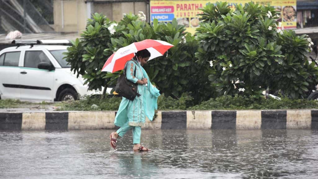 IMD predicts above-normal southwest monsoon rainfall | Fortune India