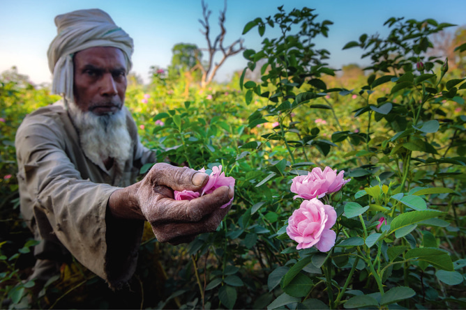 Kannauj’s Attar Reinvention | Fortune India