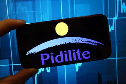 Pidilite sticks to growth with digital and rural diversification ...