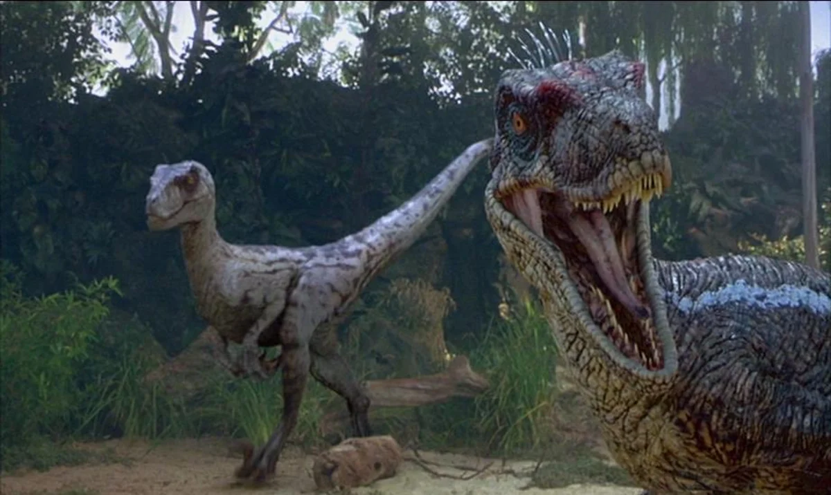 Unlike Jurassic Park Movie Real Velociraptors Did Not Hunt In Packs unlike-jurassic-park-movie-real-velociraptors-did-not-hunt-in-packs