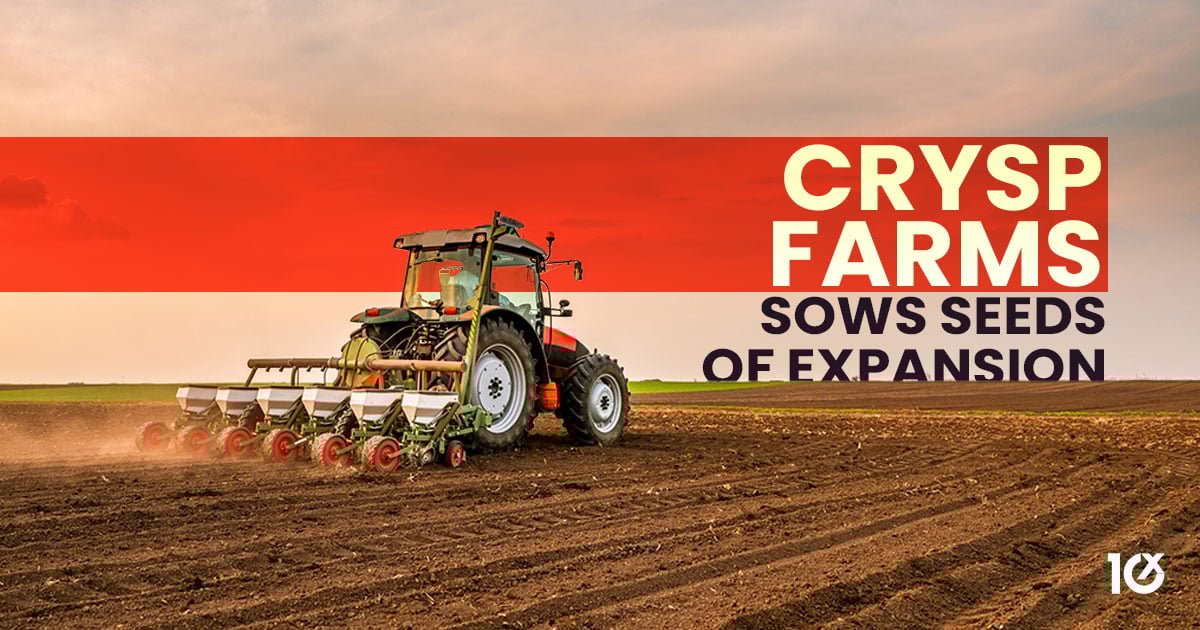Crysp Farms Sows Seeds of Expansion: $2.25 Million Funding Fuels Growth ...