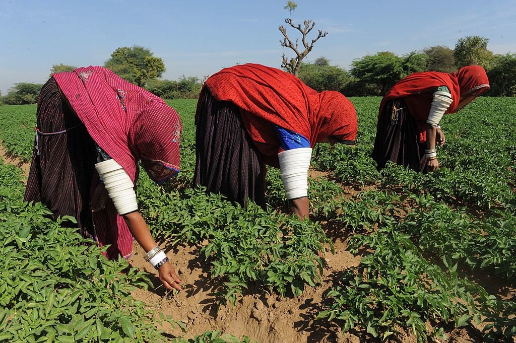 GRAM 2016: A Rajasthan Showcase For Best Practices In Agriculture