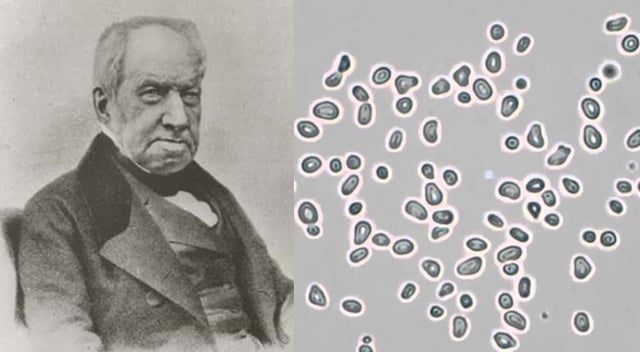 When Atoms And Molecules Were Simply Conceptual Tools And Hotly Debated