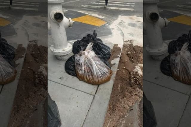 Swachh San Francisco? City Forms ‘Poop Patrol’ To Combat Open Defecation