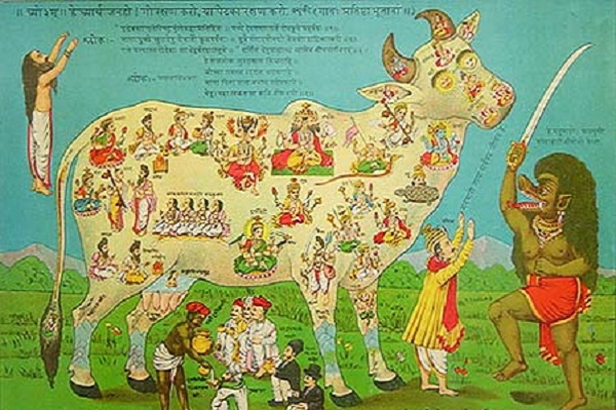 Cow Slaughter And Hindu Persecution In The Indian Subcontinent: A Short ...