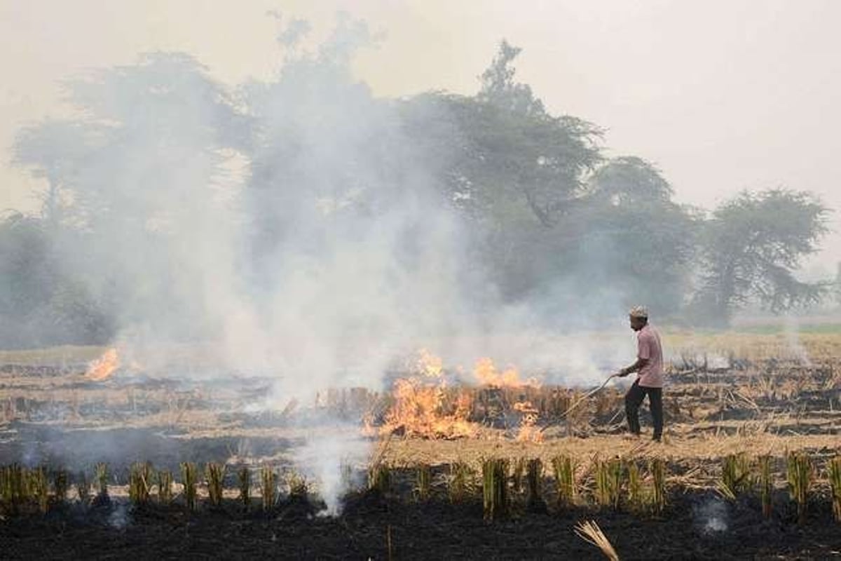 Power From Biomass, Bio-Energy, Compost: How Other Countries Manage The ...