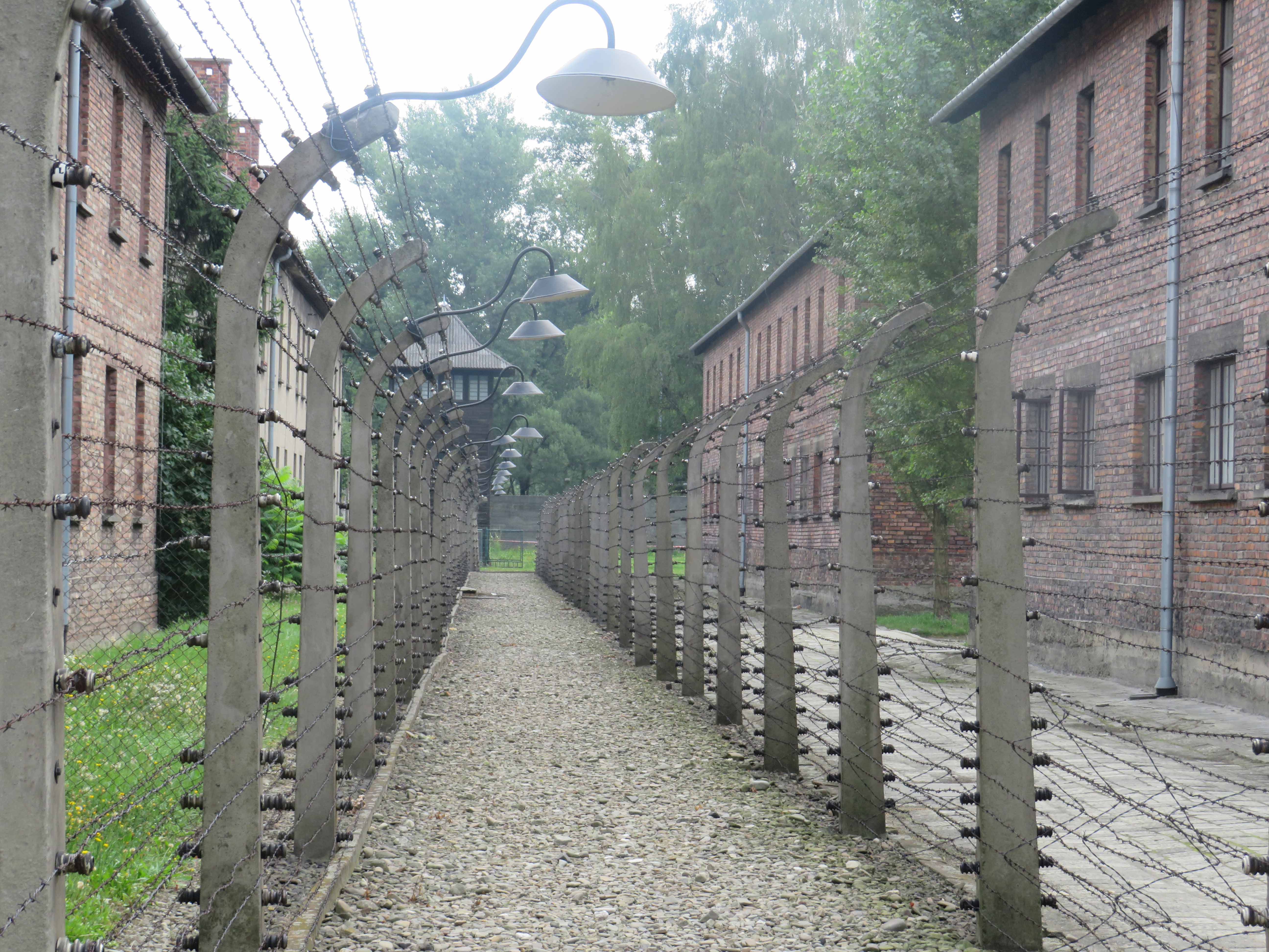 From Auschwitz To Treblinka: ‘Never Again’ Is The Unmistakable Lesson ...