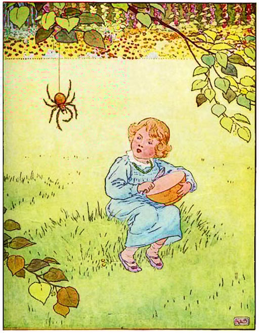 Of Attitudes to Arachnids And Indic Education: What Spiders Can Teach ...