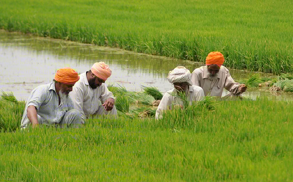 Punjab: Trapped In Its Farms