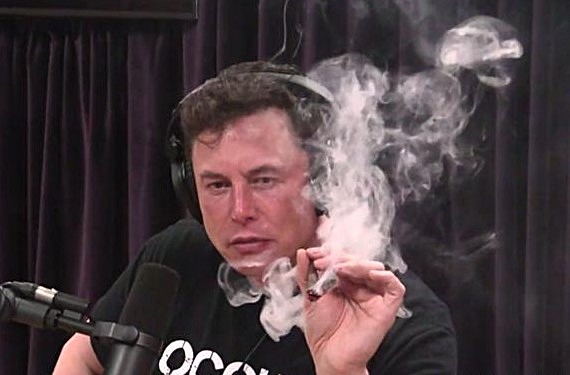 Tesla Shares Crash After Elon Musk Appears On Live Web Show Smoking ...