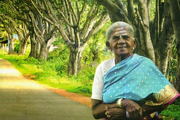 Thimmakka And Chikkanna: They Raised Trees To Fill A Personal Void