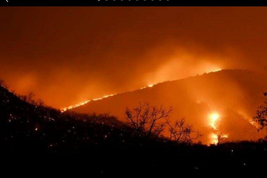 At Least 2500 Hectares Destroyed In Massive Forest Fire At Bandipur ...