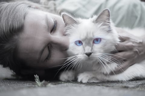 5 Simple Tips About Cat Caring