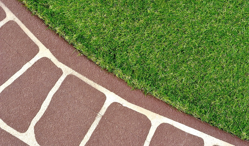 5 Tips to Your Make Lawn More Attractive in 2018