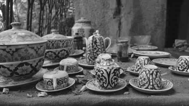 Ali Raza The Erstwhile “Prince” Who Lived in Malcha Mahal