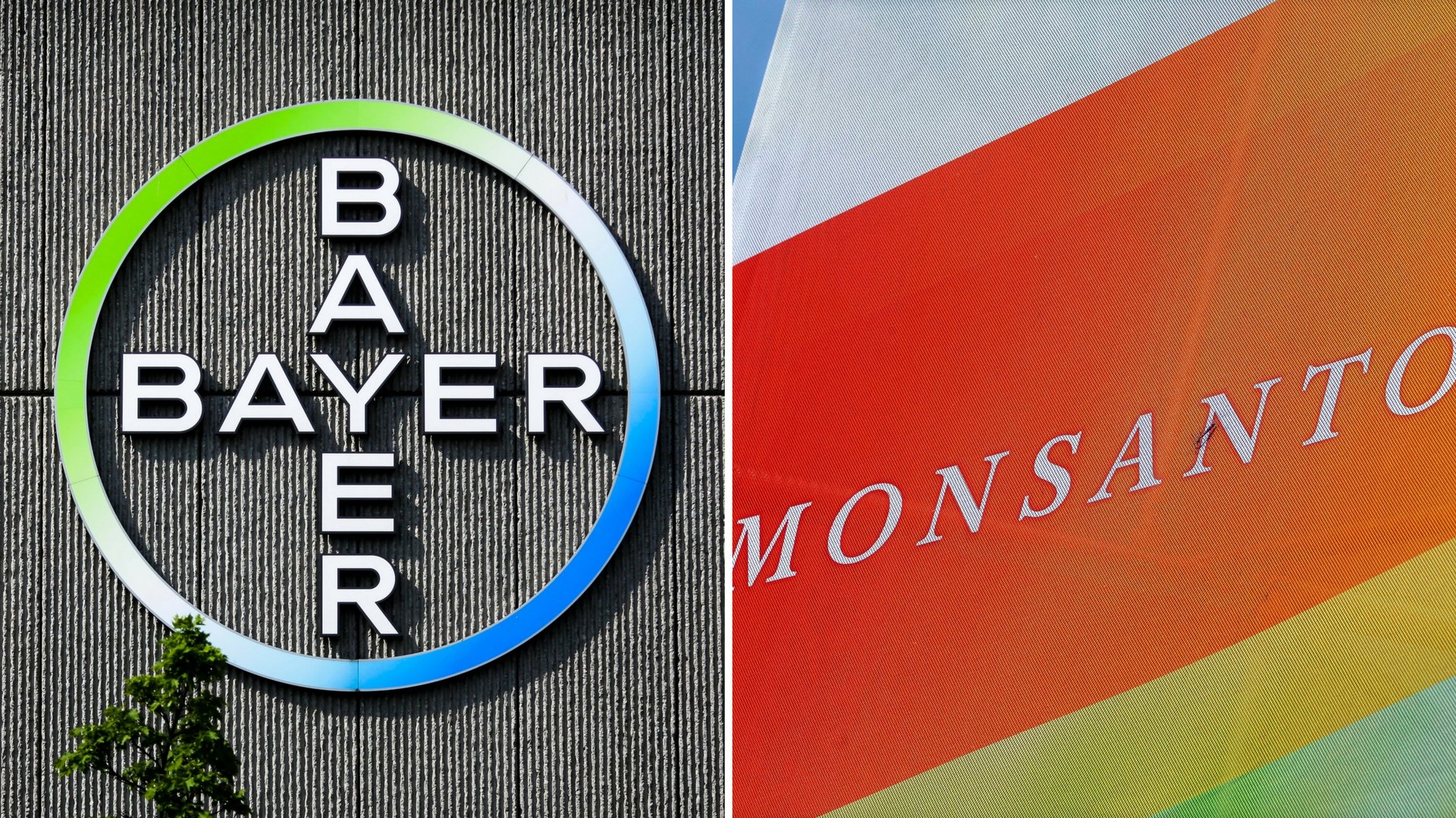 Bayer Acquires Monsanto in Largest All-Cash Deal Worth $66 Bn - The Quint