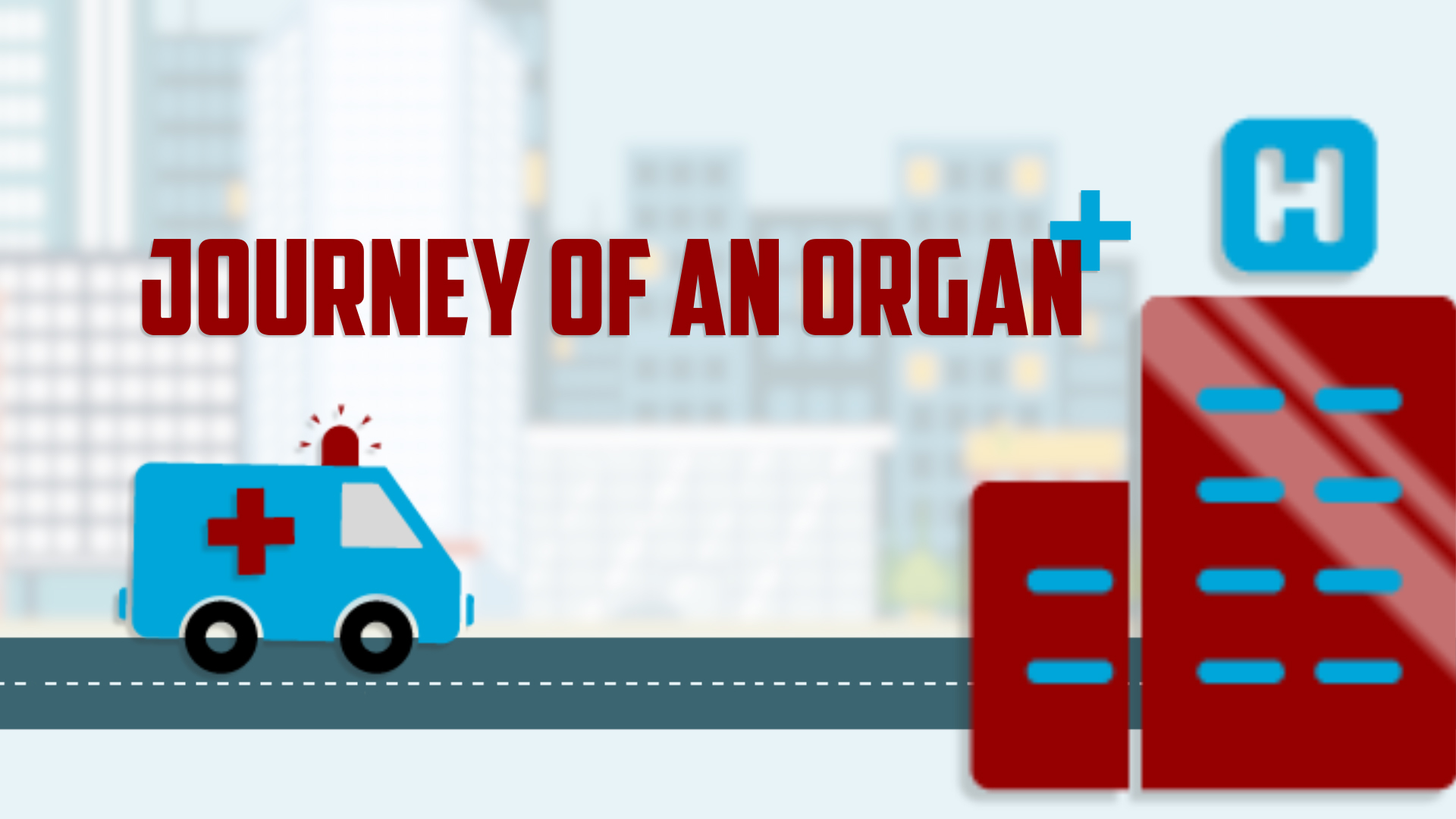 Join Us On A Journey: Where do Organs go Once You Are Brain Dead? - FIT
