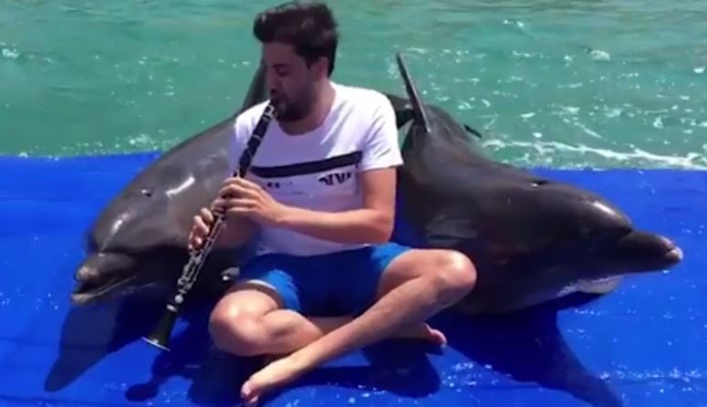 Dolphin Sings Along to Clarinet at Zimbabwe National Park - The Quint