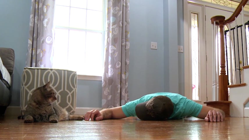Garfield Doesn’t Care: Man Plays Dead to See His Cat’s Reaction - The Quint