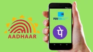 Paytm PhonePe Mobile Apps Not Accepting Aadhaar For KYC The Quint