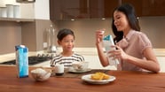 Advantages Of Tetra Pak Milk Why Everyone Loves Milk In Tetra Pak Cartons 
