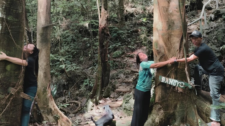 Samar project taps carbon credits, private investment | Daily Tribune